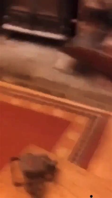 Balls In A Mouse Trap ThisVid Com