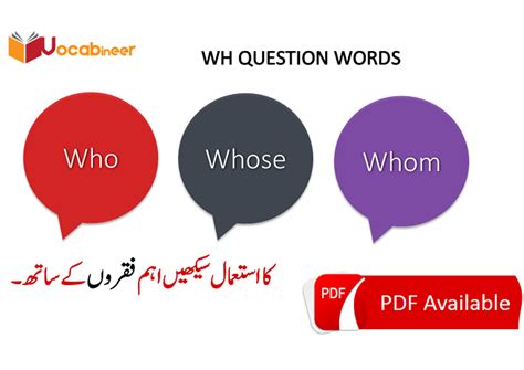 Use Of Who Whose And Whom With Sentences Wh Words