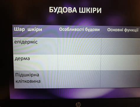 будова шкіри ЗРОБІТЬ ПЛЗЗЗЗ Школьные Знания Com