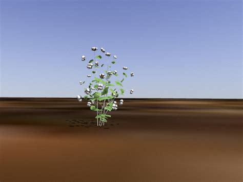 Gazebo Cotton Object Detection Dataset By Zhang Lab Projects