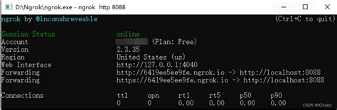 4 3内网穿透 ngrok，实现外网访问地址，此处用于webhook地址 webhook可以是内网地址吗 csdn博客