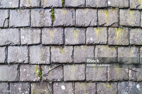 오래 된 석조물을 가진 배경 돌 사이의 갈라진 틈에 작은 새싹이 돋아납니다 촘촘하게 끼워진 돌 블록으로 만든 벽 0명에 대한 스톡 사진 및 기타 이미지 Istock