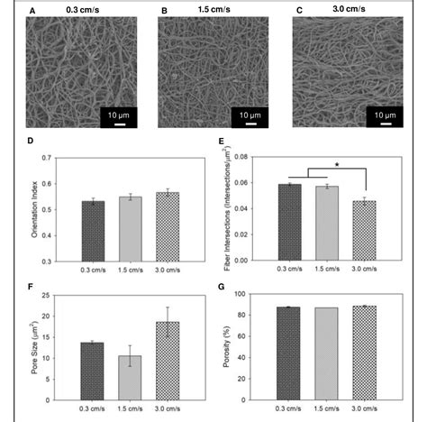Meso Scale Topology Experimental Data Group Fabricated At A 0 3 Download Scientific Diagram