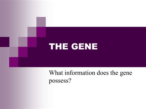Powerpoint Presentation The Gene
