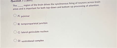 Solved Question 7 1 ﻿pointthe Region Of The Brain Drives