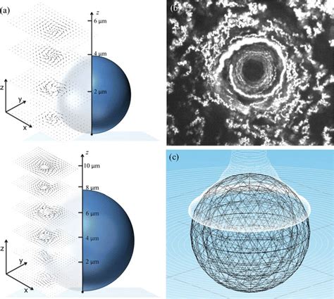 Characteristic Vector Flow Fields Observed At Various Cross Sections
