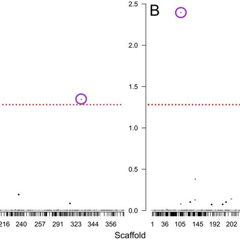 manhattan plots showing −log 10 permutation test p values for each snp
