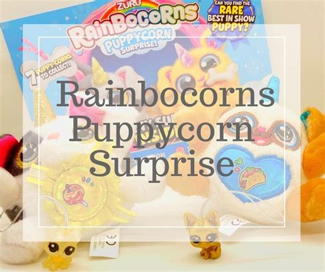 Rainbocorns Puppycorn Review - Navigating Baby