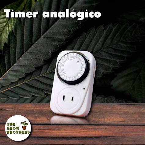 Analog Timer Grow At Sophie Denny Blog