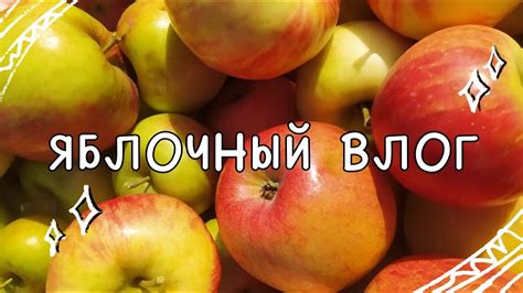 КАК СТУДЕНТЫ СОБИРАЮТ ЯБЛОКИ? Собираем урожай, катаемся на тракторах и ...
