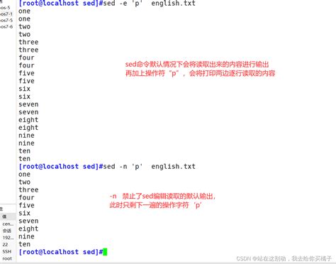 Linux文本三剑客之sed流编辑器 Csdn博客 Linux文本三剑客之sed流编辑器 Csdn博客