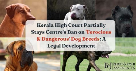 Ferocious Dog Breeds Archives Bhatt And Joshi Associates