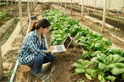 female farmer using laptop to monitor crop data while working in a