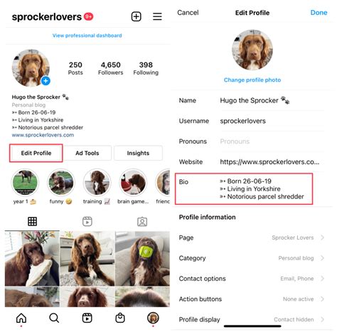 How To Edit Your Instagram Bio Get New Followers ManyChat