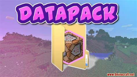 Datapack Utilities Data Pack 11711165 Essential For Most