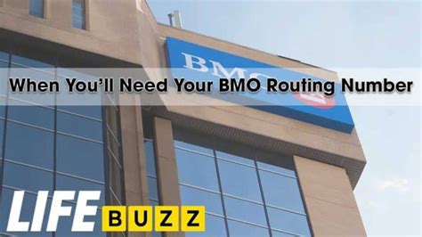 How To Find Bmo Routing Number Institution And Transit Codes