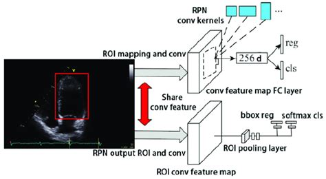 Joint Training Of Rpn And Faster R Cnn Download Scientific Diagram