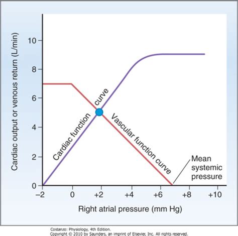 Phys Hemodynamics Regulation Of Blood Flow Control Of Circulation Blood Tissue