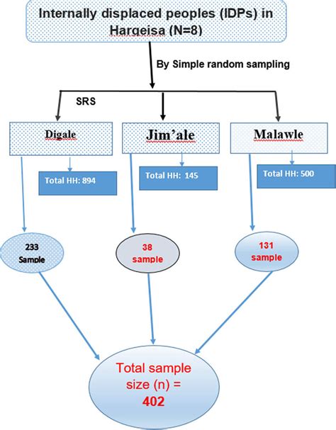 Schematic Diagram Of The Sampling Procedure Download Scientific Diagram