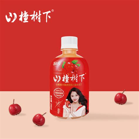 冠芳山楂树下饮料整箱山楂汁350ml 15瓶果味果汁解腻开胃官方年货 天猫