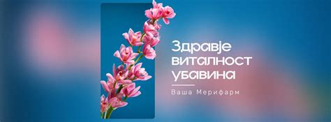 Mega Аkustik Како што домот на ѕвездите е небото така твојот дом е во 4 Степени И просторот