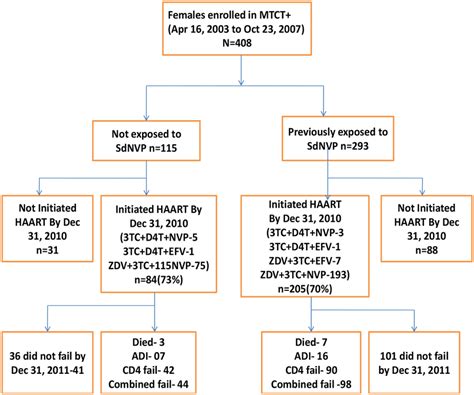 Flow Chart Showing Disposition Of Women Over The Six Years Of The Study Download Scientific