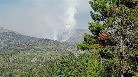 Incendio consumió por lo menos hectáreas del Pico de Orizaba