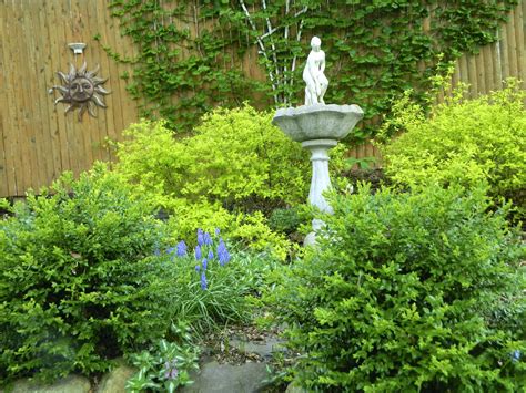 Pam S English Cottage Garden My Garden Year In Review