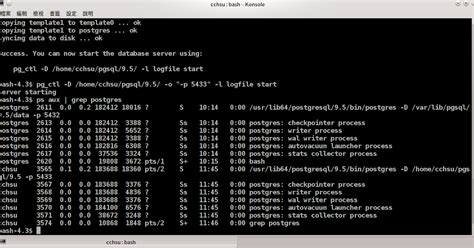 渡鴉之丘 在同一台主機上開多個 Postgresql 程序