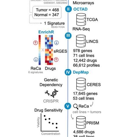 Schematic Representation Of The Bioinformatics Drug Repositioning Download Scientific Diagram