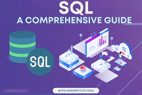Sql For Beginners A Comprehensive Guide Rise Institute