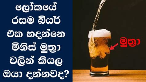 ලෝකයේ රසම බියර් එක හදන්නෙ මිනිස් මුත්‍රා වලින් කියල ඔයා දන්නවද ඔබ මේවා දකින්නේ ජිවිතේ පළමු