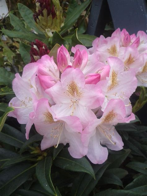 Tips And Offers — Eden Park Garden Centre Your Local Garden Centre And Landscaping Specialist