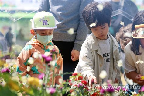 나비와 함께 연합뉴스