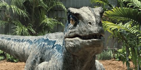 Velociraptor Blue Wallpapers Top Free Velociraptor Blue Backgrounds
