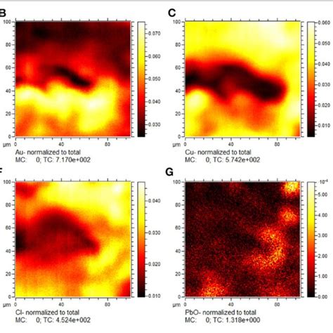 Tof Sims Negative Ion Chemical Maps Showing The Distribution Of Download Scientific Diagram