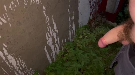 Pee Art On A Wall Free Sex Video Redtube
