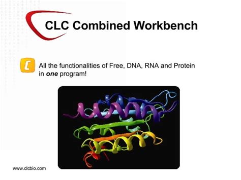 Clc Bio Basic Company Presentation PPT