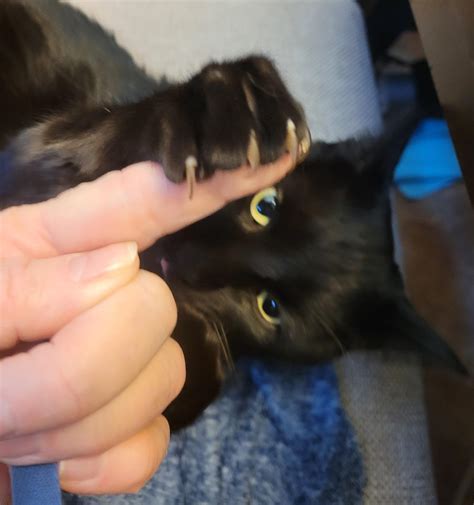 Stop Poking Me Rmurdermittens