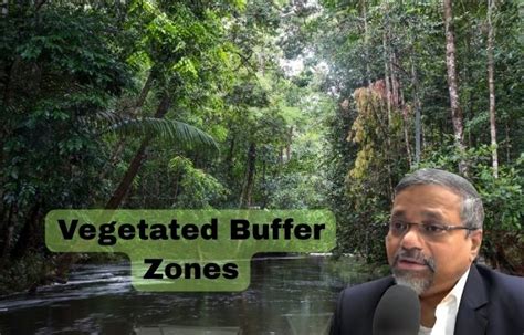 Creating Vegetated Buffer Zones A Key To Protecting Water Quality And Ecosystems Jaiguru Kadam