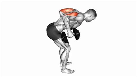 Dumbbell Standing Kickback Video Guide Lyfta
