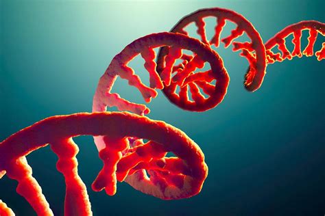 Ray S On Linkedin Self Amplifying Rna Shots Are Coming The Untold Danger