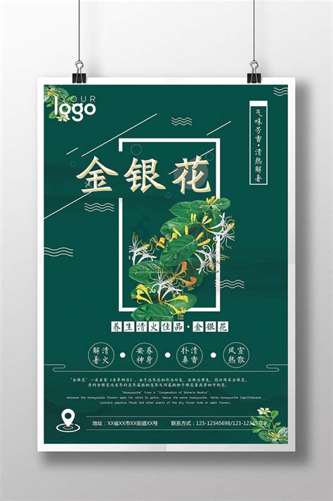 金银花插画 金银花插画图片 包图网
