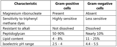 Gram Staining Principle Theories Procedure And Examples Biology Ease