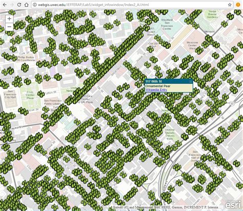 geography 455 web gis web gis lab 5 arcgis api for javascript 1
