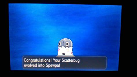Pokemon X Scatterbug Evolution Youtube Pokemon X Scatterbug Evolution Youtube