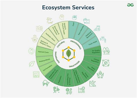 Ecosystem Services Geeksforgeeks
