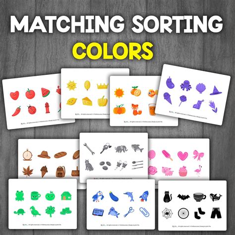 Color Sorting Activity Color Matching Activity Learning Colors Sorting By Color