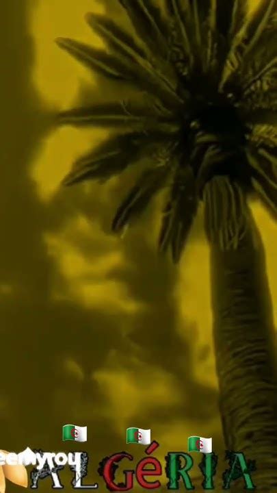 شكراا على الدعمم احبك🥠 حبت نمش في وجه فلكس Youtube