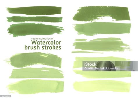 녹색이 페인트를 칠합니다 색상 스플래시 요소 격리 된 더러운 튄 자국 잉크 그린 스프레이 세트 추상적 인 페인트가 번지다 0명에